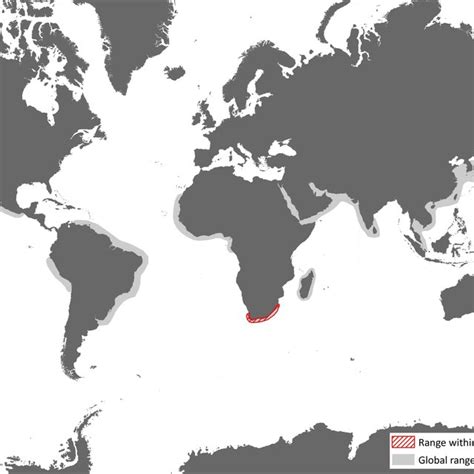 Distribution Range For Long Beaked Common Dolphin Delphinus Capensis