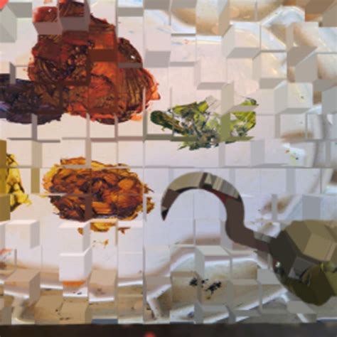 Julia Ulmer University Of Waterloo Waterloo Uwaterloo Department