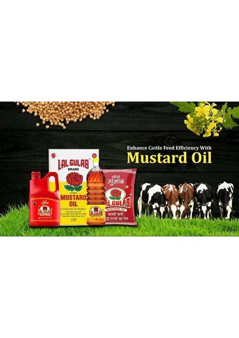 Ppt Enhance Cattle Feed Efficiency With Mustard Oil Powerpoint Presentation Id 13356486