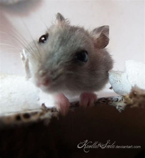 Tiny Winy By Irenv On Deviantart