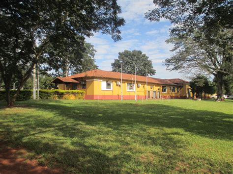 Brazilian Cattle And Birds In Tropics Usp Campus Pirassununga