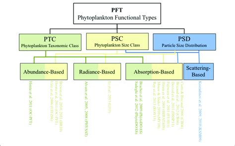 Schematic Of Various Phytoplankton Functional Type Pft Algorithms