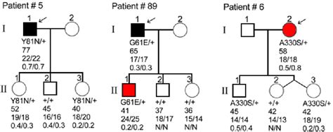 Multiple Amino Acid Sequence Alignment Of Cyp1b1 Cyp1a1 And Cyp1a2