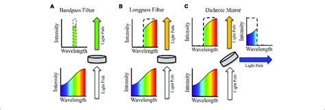 Example Effect Of Idealized Optical Filters On White Light Arrows Download Scientific
