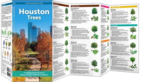 Houston Trees Book Summary And Video Official Publisher Page Simon