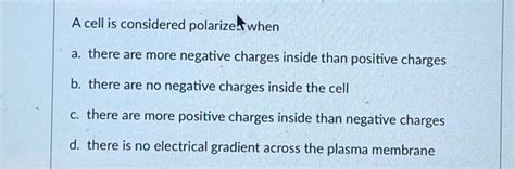 Solved In A Polarized Cell An Increase In Na Permeability