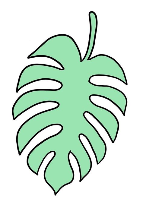 Green Monster Leaf Plant Leaves Wallpaper Plants