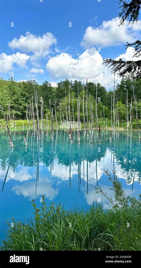 Beautiful Scenery Blue Pond Aoi Ike In Japanese In Summer Shirogane