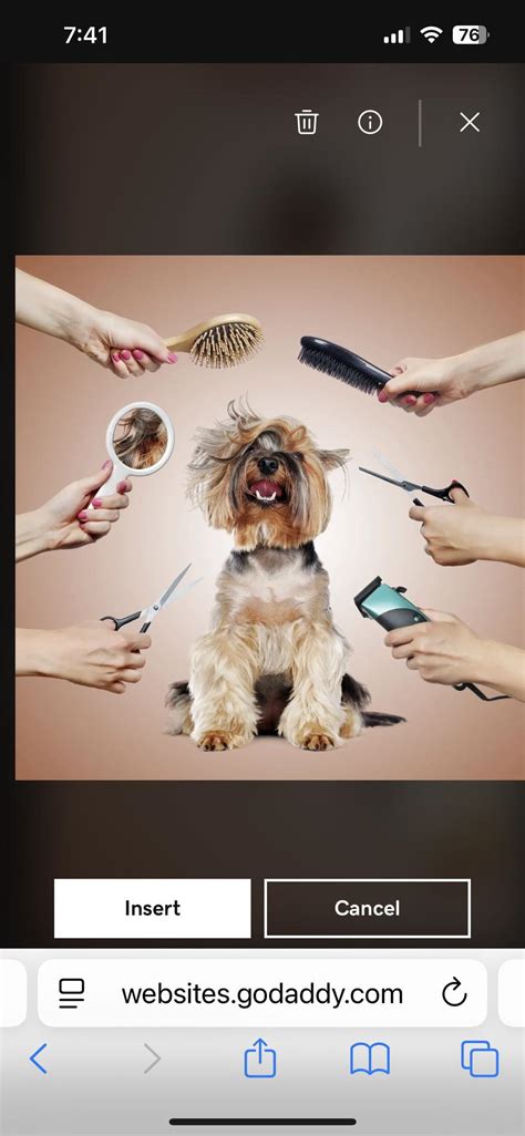 Doggy Styles Grooming Studio Alkimos Alkimos Wa