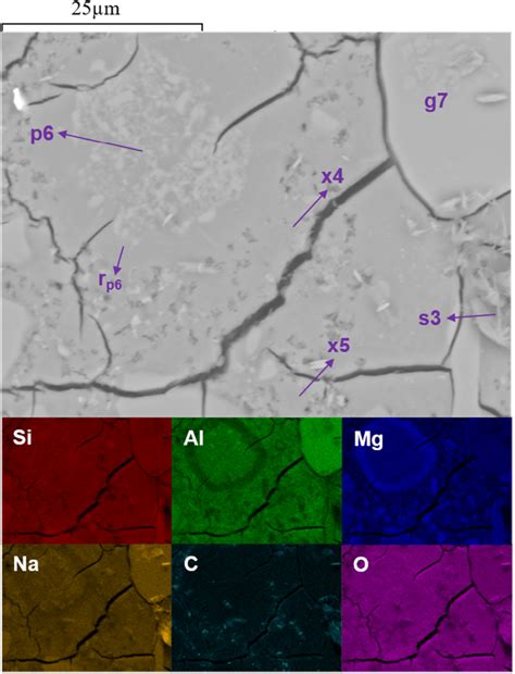 Sem High Magnification Analysis Of A61y Download Scientific Diagram