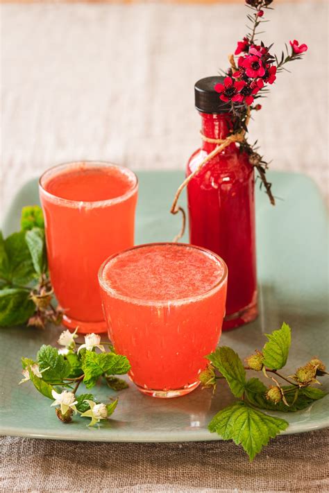 Shrub Drink Artofit