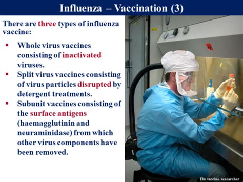 Bioa 3 2 4 Antigenic Variability Influenza Teaching Resources
