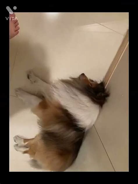 코로나 걸린 친구에게 보내보세요 Youtube