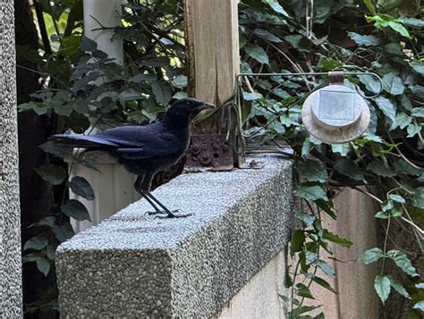 薛妃娟 薛妃娟 Added A New Photo