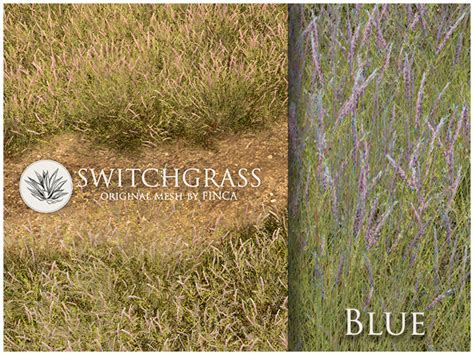 Second Life Marketplace Finca Switchgrass Blue