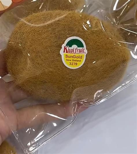 Squishable Kiwi Fruit Taba Squishy Realistic Fruit Inspired Stress Reliever Soft And Squeezable