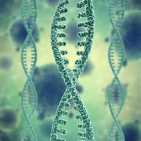 Recombinant Dna Wallpaper Definition Of Recombinant Dna Rdna