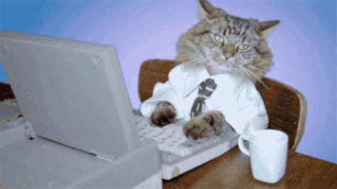 Escribiendo Gatos S Divertidos Coños Con El Teclado 25 Piezas