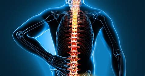 Unlock Hip Flexors Tutorial Hip Extensor Weakness Causing Your Back Pain