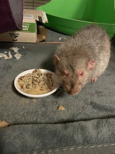 I Reached Over This Little Gremlin Began Eating Faster And Grabbed