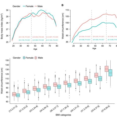 Figure Association Of Age With Bmi And Waist Circumference The
