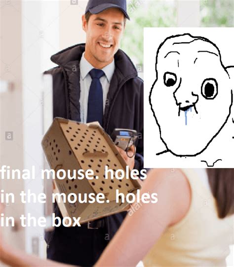 Me Finally Receiving My Finalmouse R Finalmouse