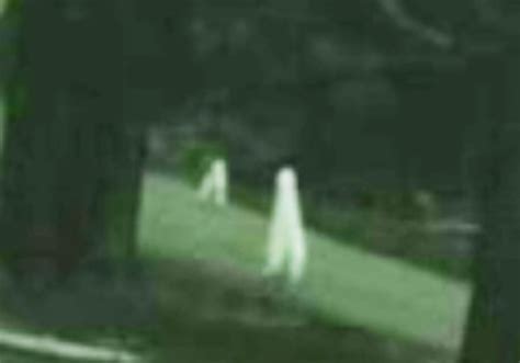 15 Iconic Photos Of Cryptids That Captured The Worlds Imagination