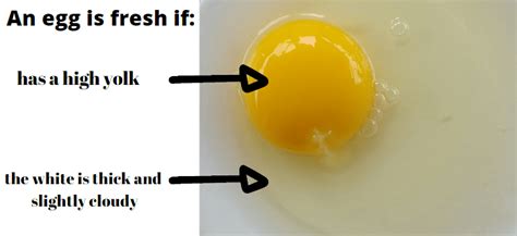 How Fresh Are My Eggs How To Tell If Eggs Are Bad—and How To Keep
