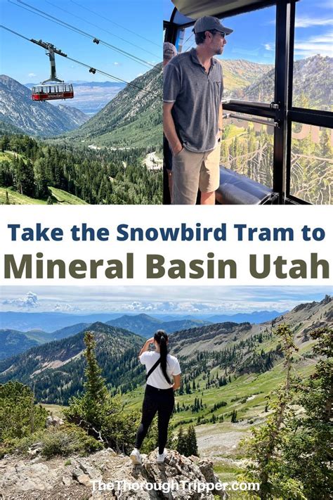 Snowbird Utah Artofit