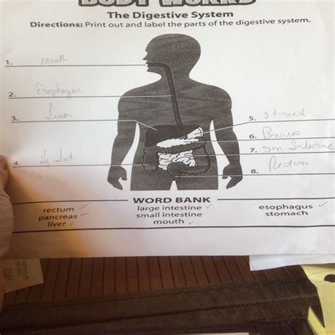 Med Surg Gi Exam Flashcards Quizlet
