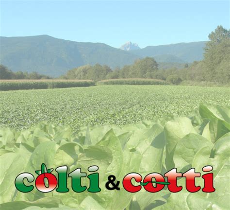 Bocon Over The Years Bocon