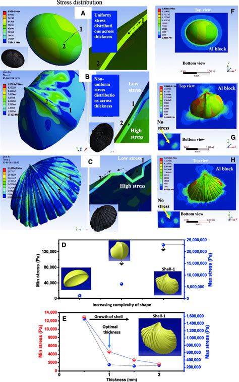 Behavior Of Shell 1 A To C Stress Distribution In A Hemispherical