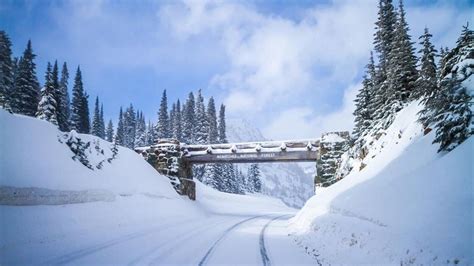 Chinook Cayuse Pass To Remain Closed For The Season Fox 13 Seattle