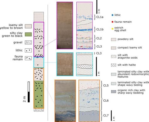 Initial Upper Paleolithic Technology Reached North China By ~41 000 Years Ago Science Codex