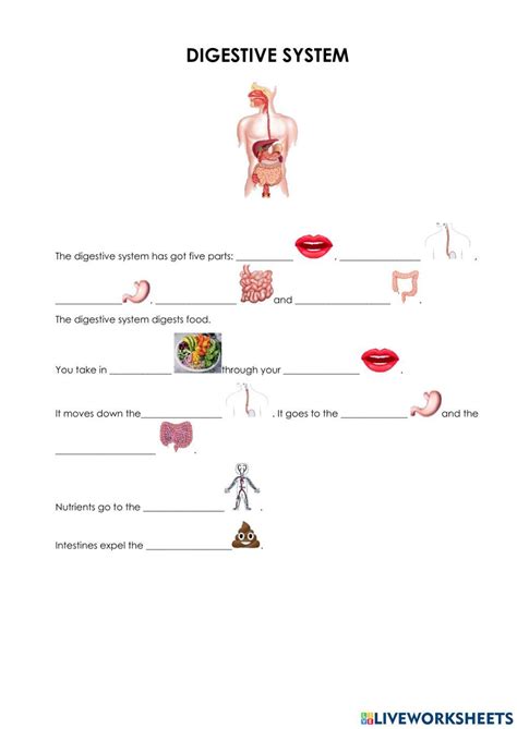Digestive System Online Exercise For Grade 3 Live Worksheets