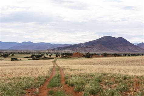 Jeep Tracks In Green Grass And Blue Mountains Stock Image Image Of