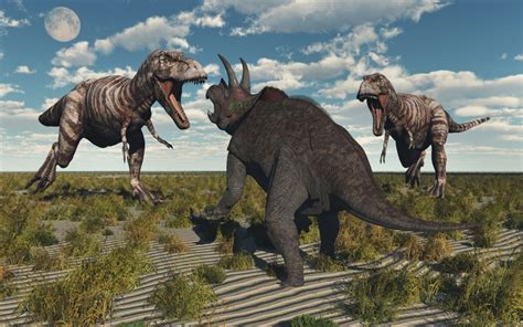 Dinosaurs Triceratops Vs T Rex