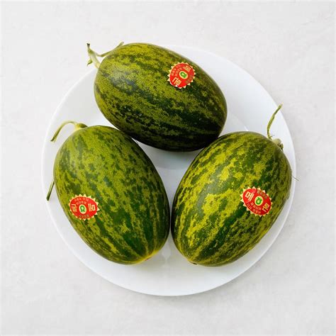 파파야 멜론 메가마트몰