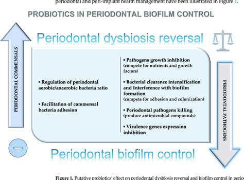 Putative Probiotics Effect On Periodontal Dysbiosis Reversal And Download Scientific Diagram