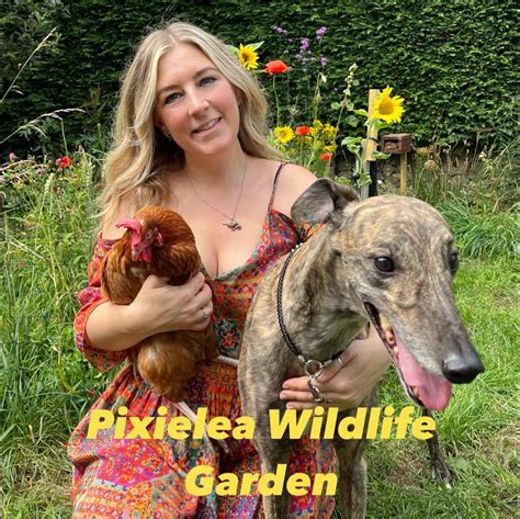 Pixie Lea Wildlife Garden