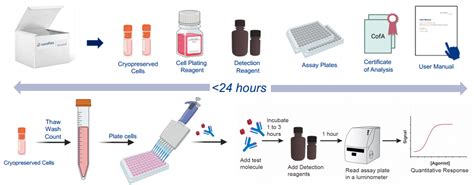 Biologics 분석을 위한 Cell Based Bioassay Kit 고마바이오텍