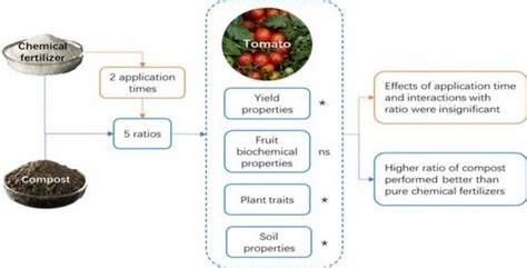 Sustainability Free Full Text The Effects Of Fertilizer Type And