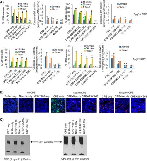 Rip1 Rip3 And Mlkl Contribute To Cell Death Caused By Clostridium