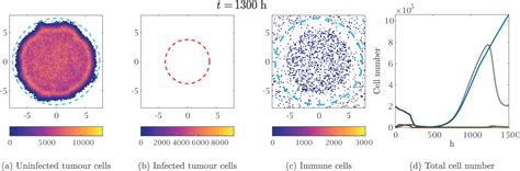 Figure 11 From A Hybrid Discrete Continuum Modelling Approach For The Interactions Of The Immune