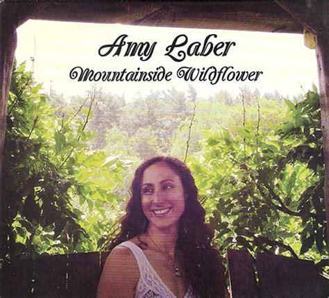 Cd Review Amy Laber Music Hudson Valley Chronogram Magazine