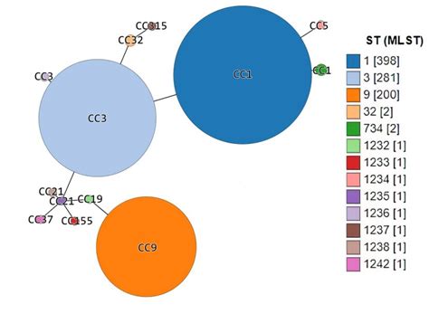 Minimum Spanning Tree Demonstrating The Genetic Relatedness Between L Download Scientific
