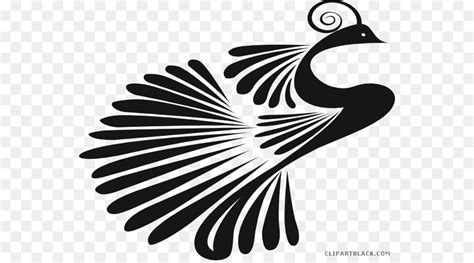 Nbc Peacock Black And White Clipart