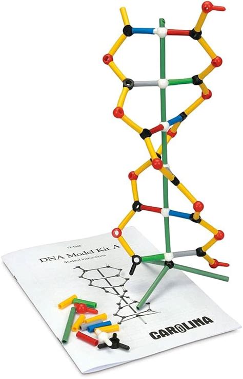 Homemade Dna Model Project
