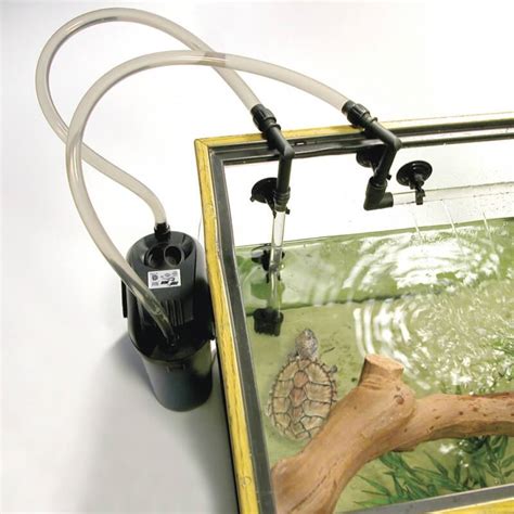 7 Best Filters For Turtle Tanks Reviewed And Rated Spring 2026