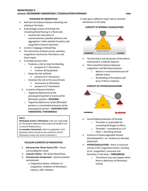 Solution Secondary Hemostasis And Coagulation Pathway Studypool